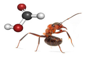 ácido fórmico, propiedades y aplicaciones| Pochteca Guatemala