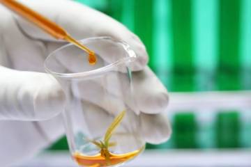 ¿Qué son los agentes gelificantes y qué función realizan?